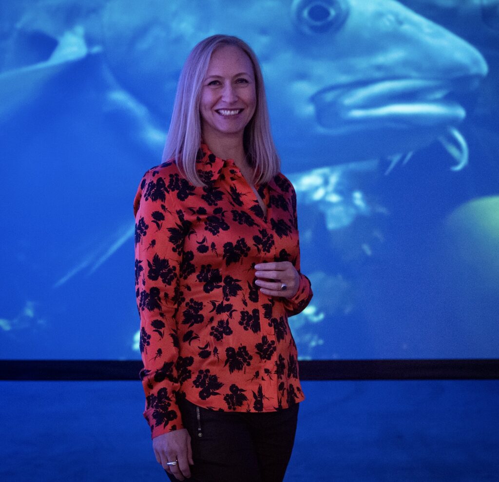 Norwegian Seafood Exports Reach Historic Milestone in November | Frozen ...