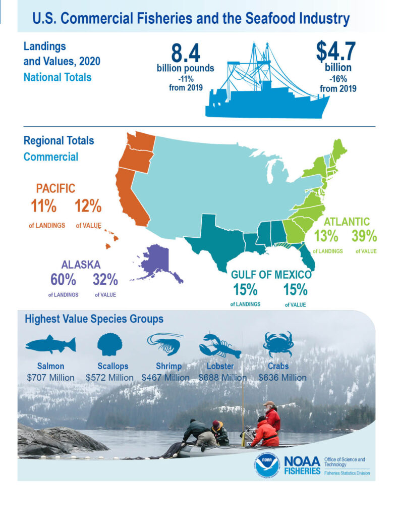 Shrimp Tops Per Capita Consumption List in US, Followed by Salmon ...
