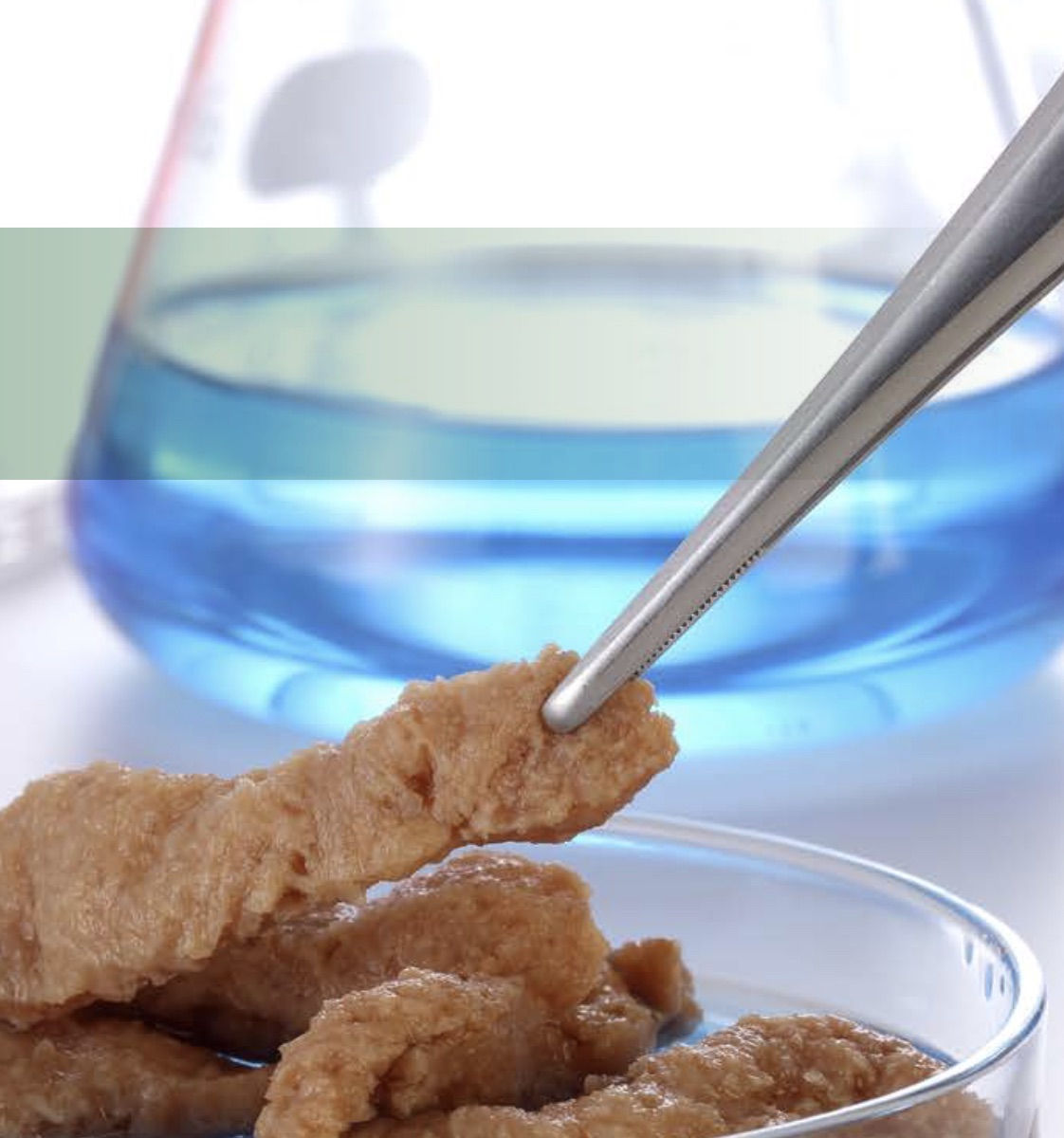Cell-based Meat Industry Interest and Deal Activity Rising Fast, Says ...